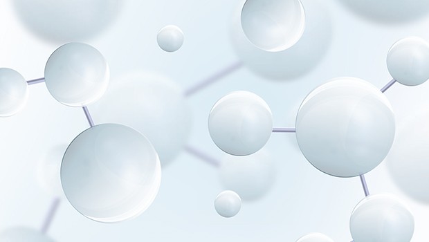 CeraSkin P | Ceramide P | BioNest