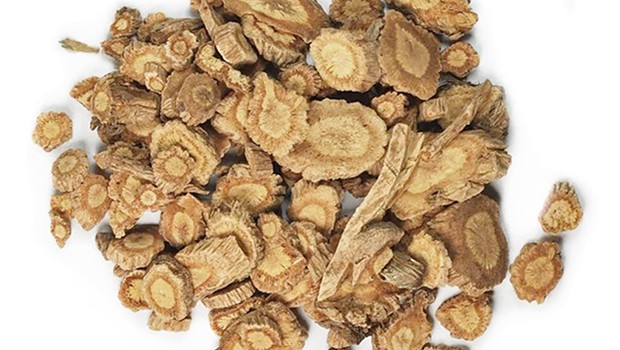 Bofu Extract | 防風萃取液 | 昱智生化BioNest