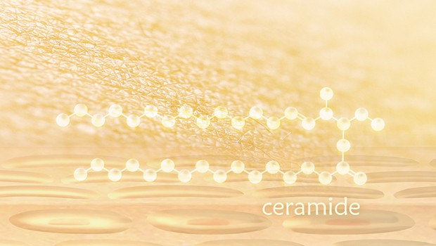 CeraSkin Series | BioNest