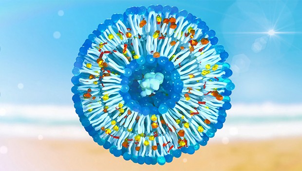 SunCat Series | BioNest